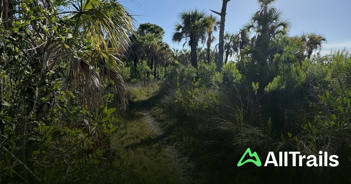 Best hikes and trails in Pam Callahan Nature Preserve | AllTrails