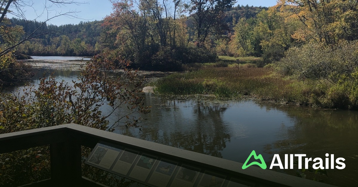 Best hikes and trails in Grey Rocks Conservation Area | AllTrails