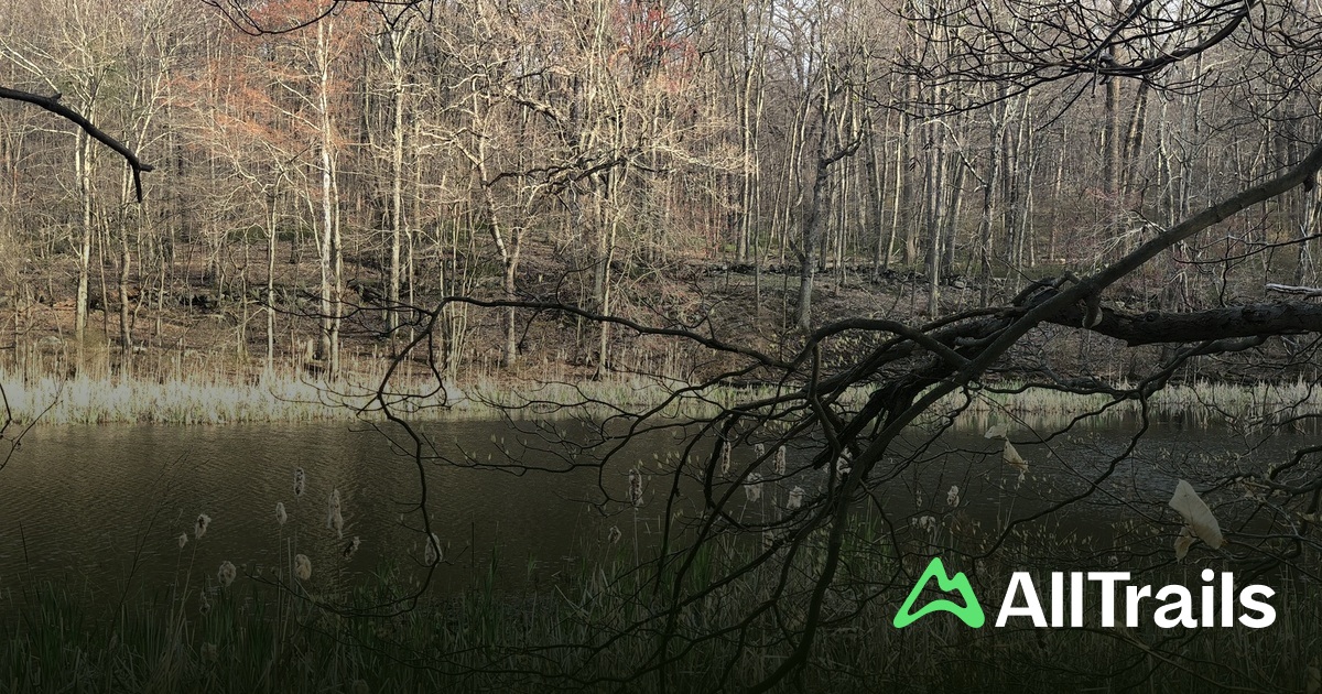 Best bird watching trails in Brinton Brook National Audubon Society ...