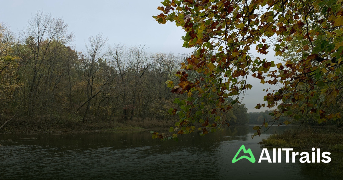 Best hikes and trails in Pine Hill Arboretum | AllTrails