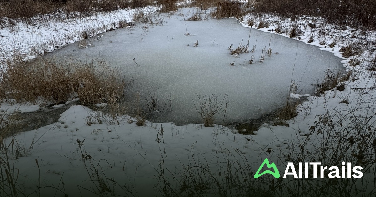 Best hikes and trails in Sandusky Headwaters Preserve | AllTrails