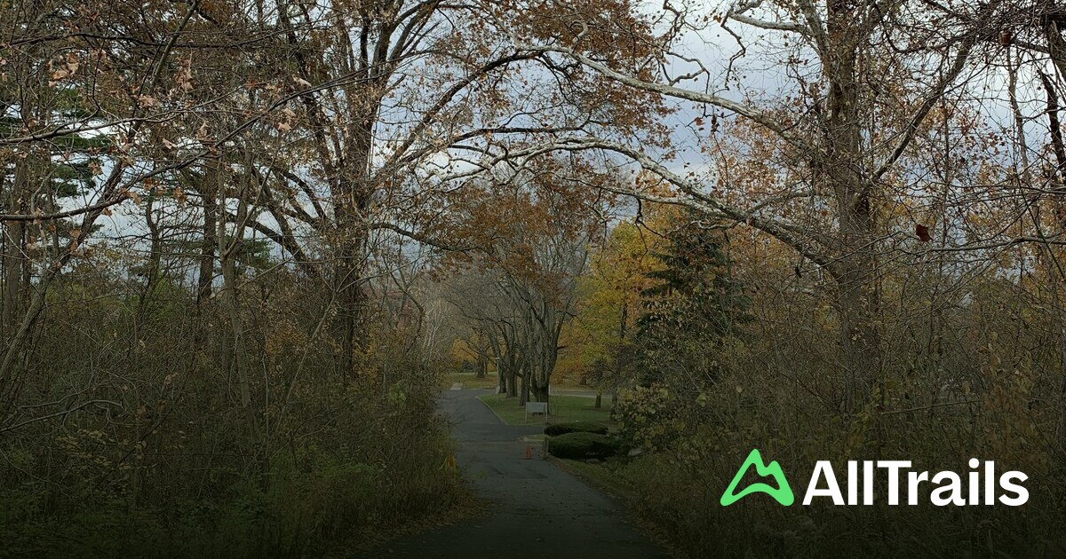 Best hikes and trails in Mount St. John Nature Trail | AllTrails
