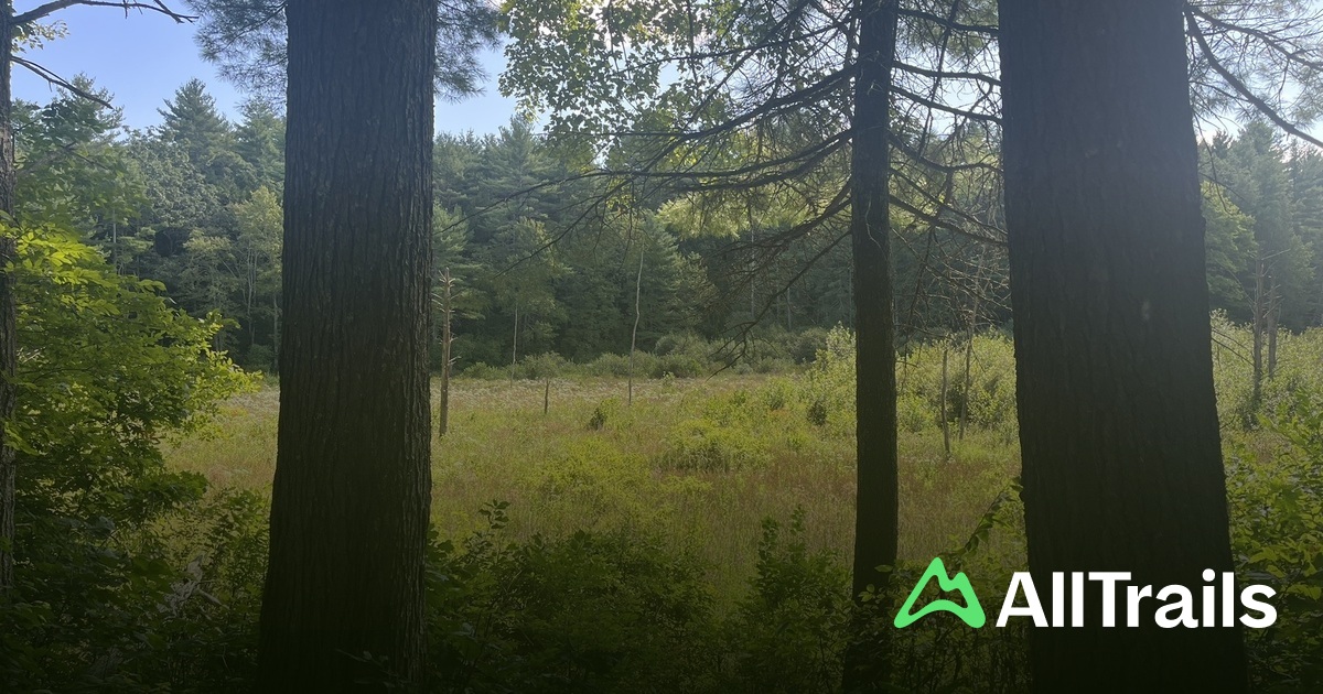 Best hikes and trails in Day Woods Conservation Area | AllTrails