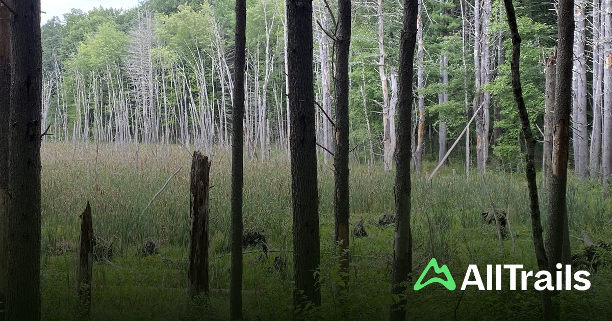 De beste makkelijke routes in Valley Farm Wildlife Sanctuary | AllTrails