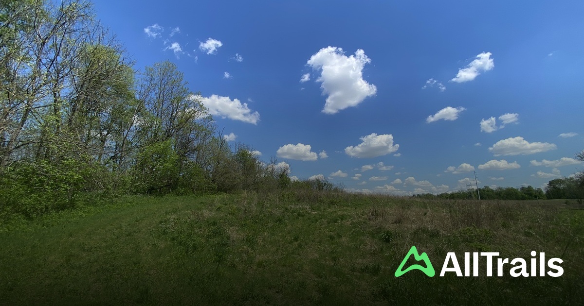 Best hikes and trails in McCalmont Park | AllTrails