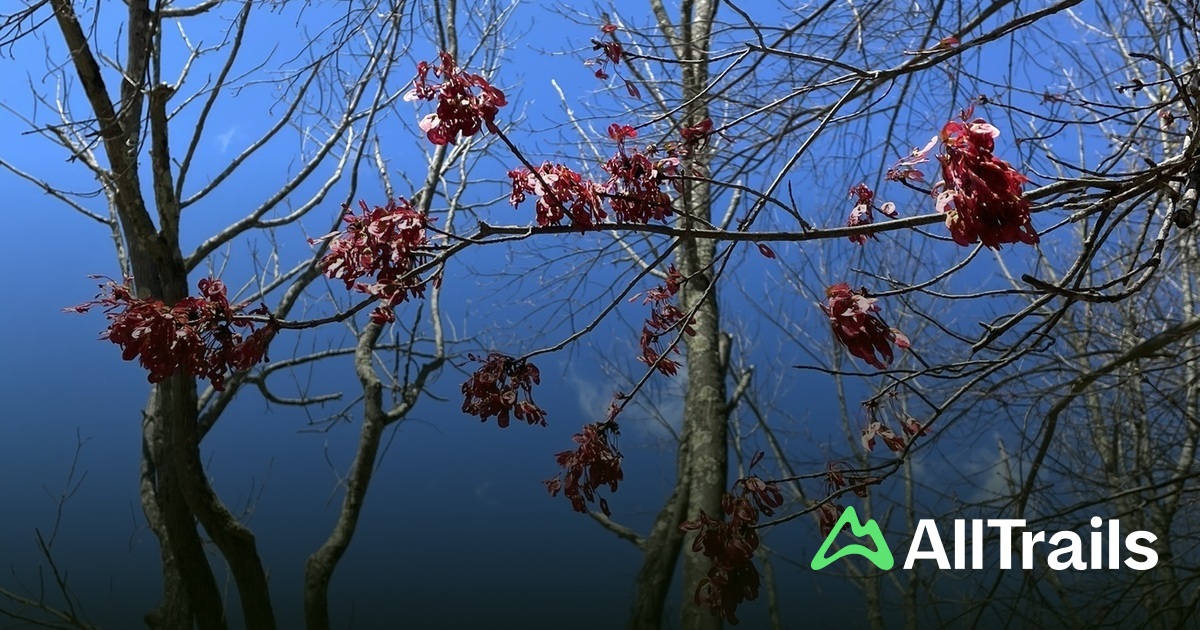 Best hikes and trails in Wright Farm | AllTrails