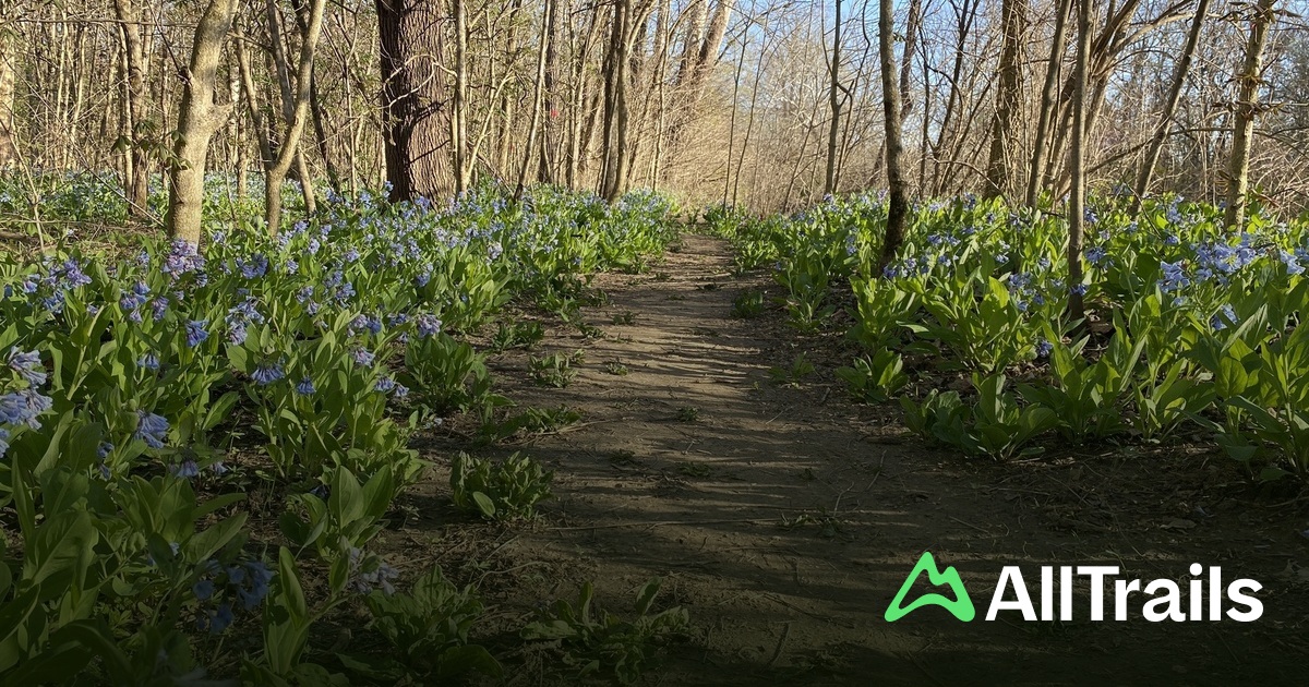 Best easy trails in Maple Grove Prairie | AllTrails