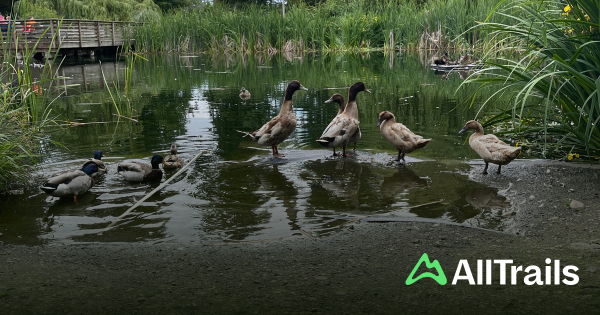 Best hikes and trails in Cochrane Park | AllTrails