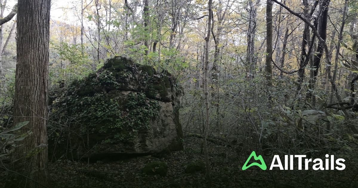 Best hikes and trails in Whipple State Nature Preserve | AllTrails