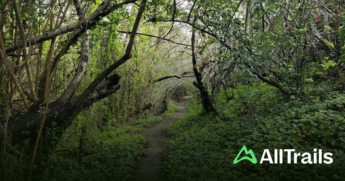 Best hikes and trails in Richardson Bay Audubon Center and Sanctuary ...