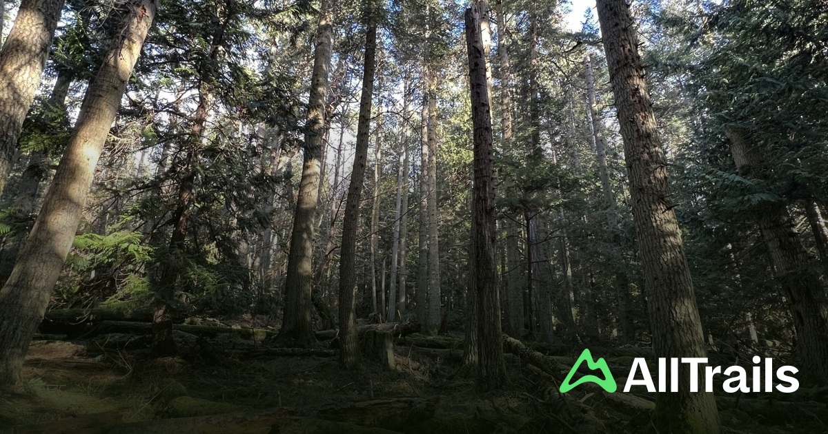 Best hikes and trails in Marilyn and Fred Ellis Preserve | AllTrails