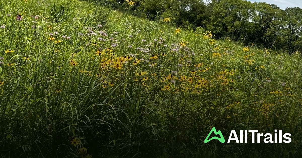 Best hikes and trails in Chudzinski Johanson Conservancy Park | AllTrails