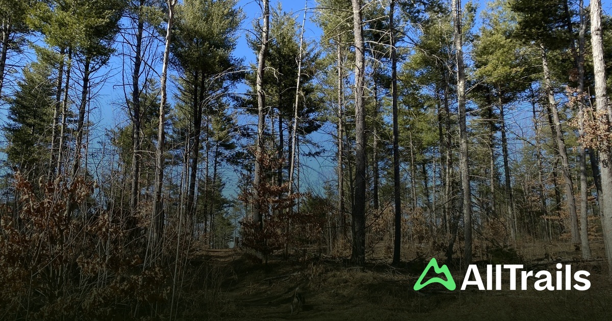 Best hikes and trails in Forbush Field | AllTrails