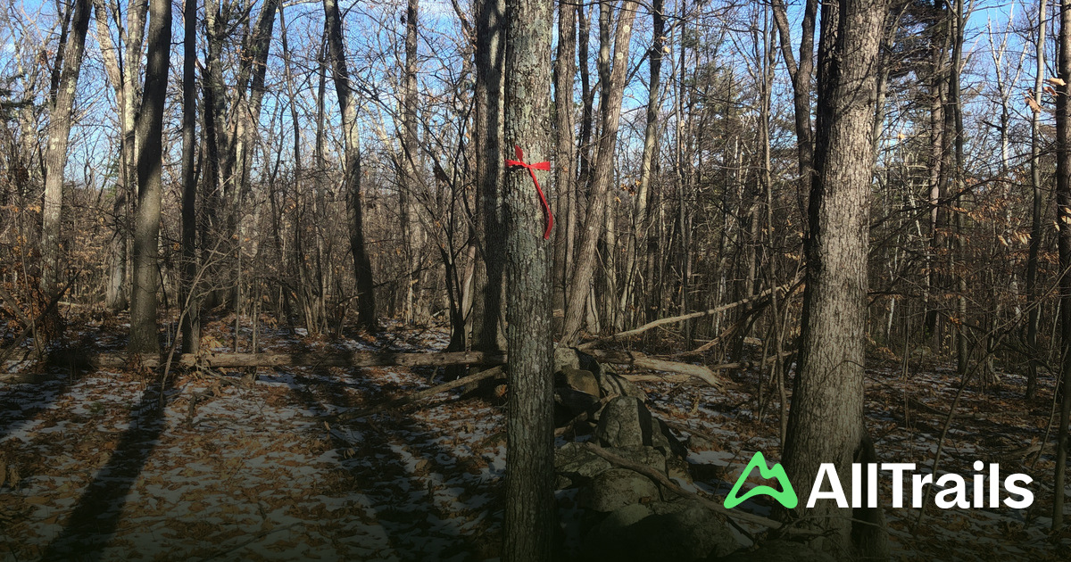 Best cross-country skiing trails in Rathore Conservation Restriction ...