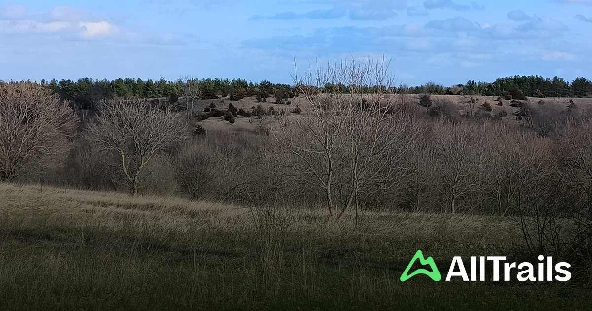 Best hikes and trails in Forest Prairie Park | AllTrails