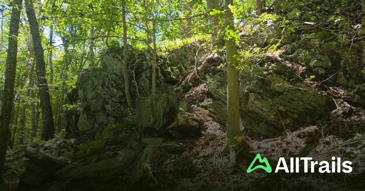 Best easy trails in Frederick P. Rose Preserve | AllTrails
