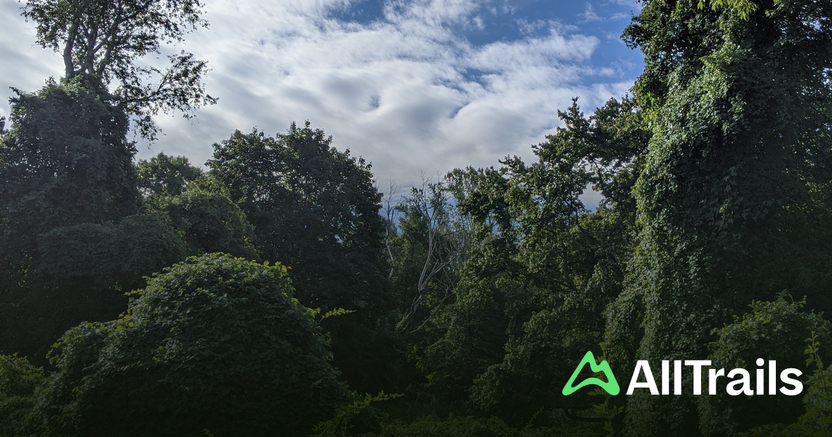 Best hikes and trails in Irwin Park | AllTrails