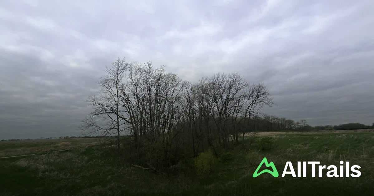 Best hikes and trails in Hertz Family Woods and Nature Preserve | AllTrails