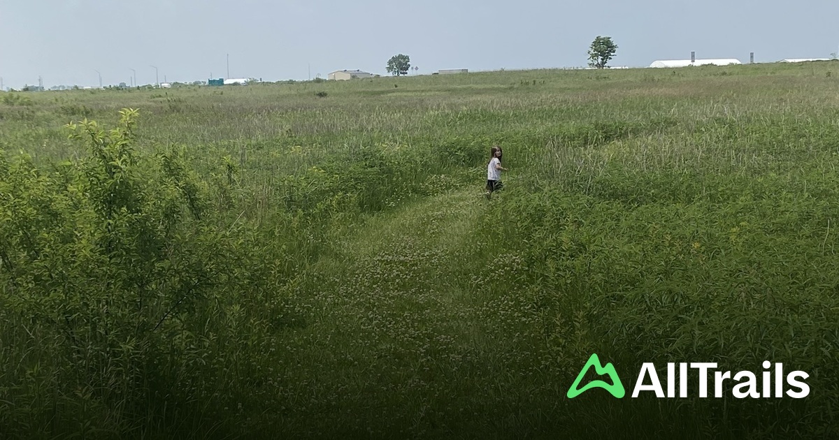 Best hikes and trails in Ketelsen Greenwing Marsh | AllTrails