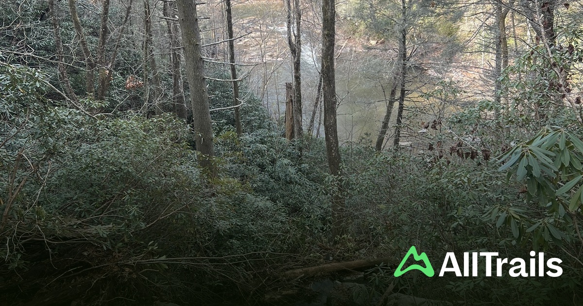 Best hikes and trails in Bell Park | AllTrails