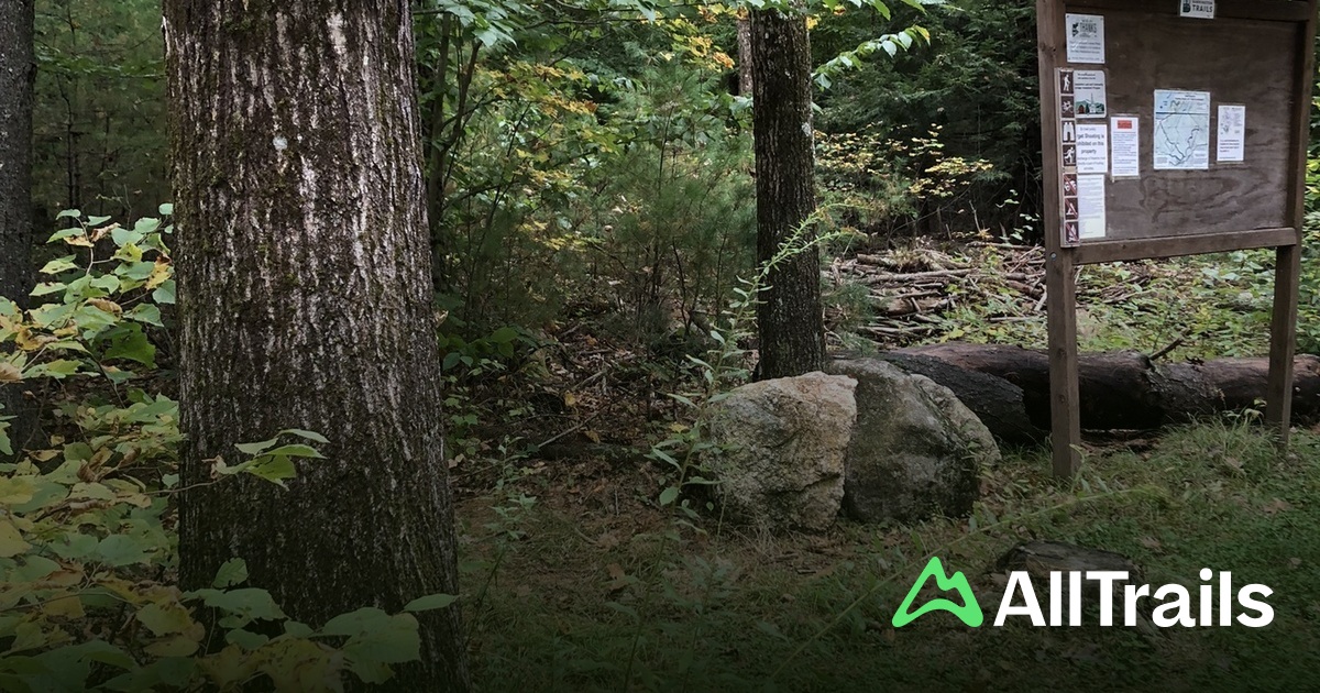 Best kid-friendly trails in A. Harlan Calef Isinglass Preserve | AllTrails