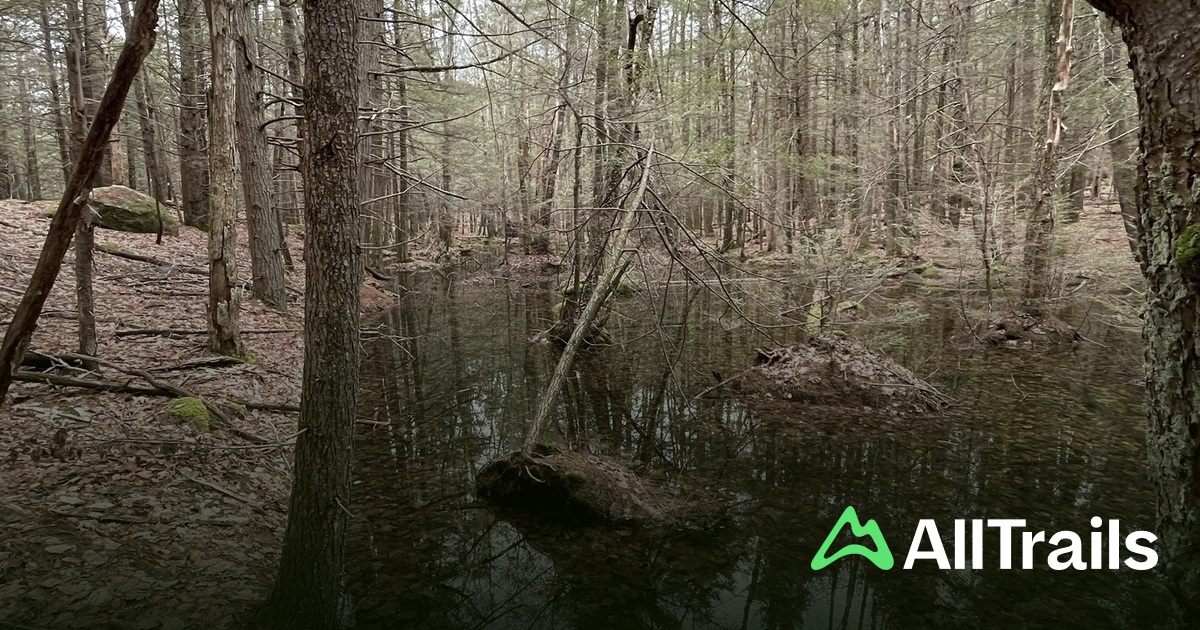 Best short trails in William E. Kennard Forest | AllTrails