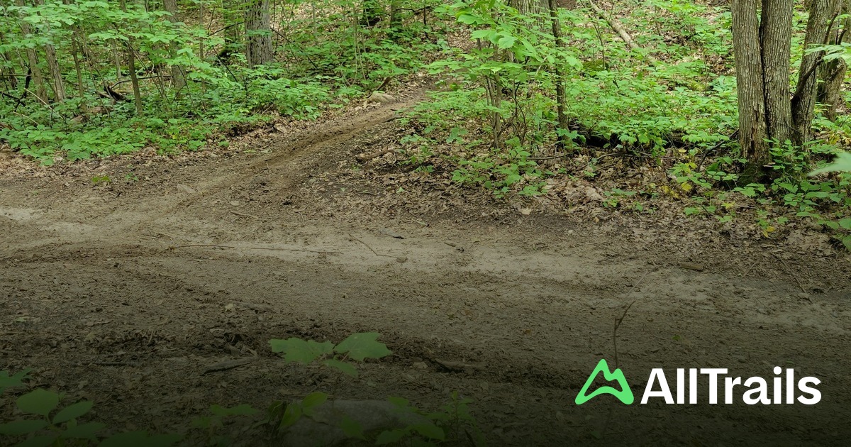 Best moderate trails in North Barr Forest Tract | AllTrails