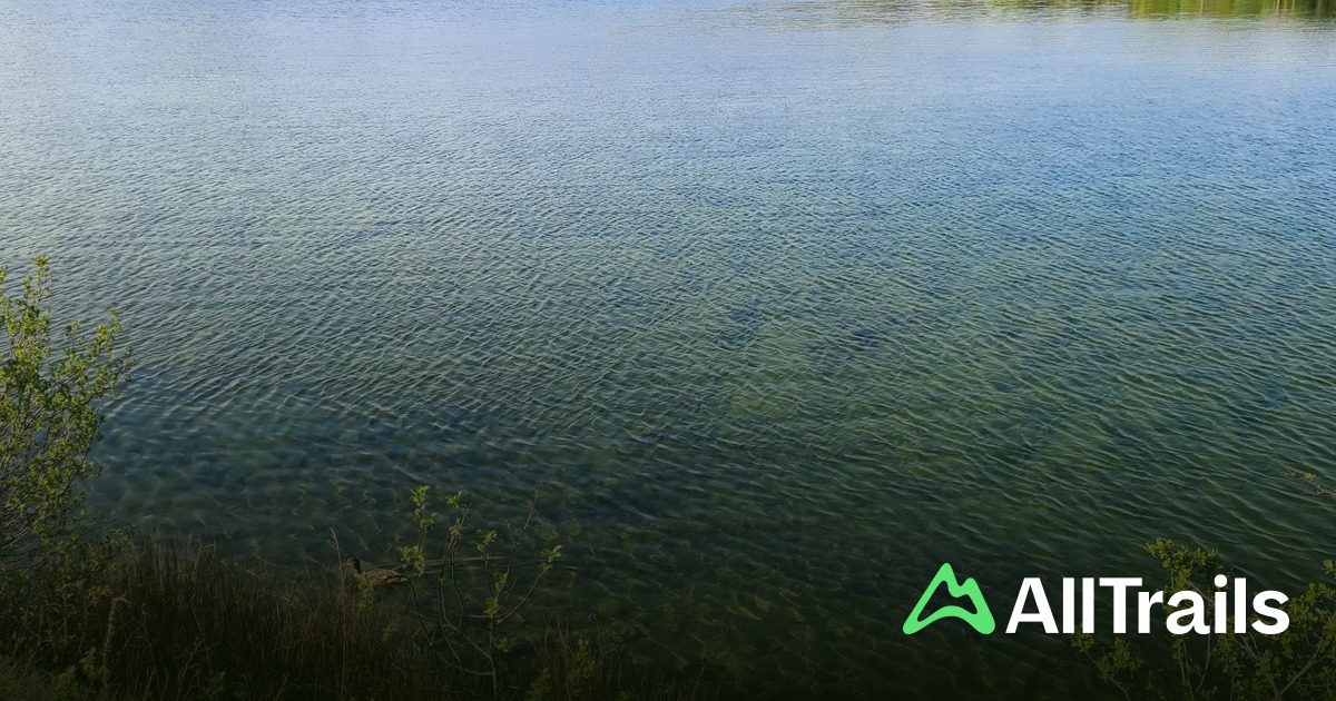 Best hikes and trails in Cosmeston Lakes Country Park | AllTrails