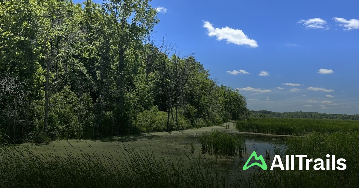 Best hikes and trails in Horicon Marsh Wildlife Area | AllTrails