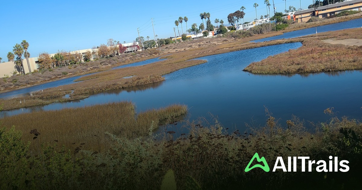 Best hikes and trails in Famosa Slough State Marine Conservation Area ...