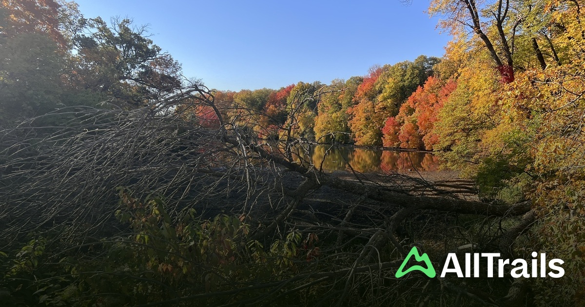 Best hikes and trails in Timberlane Park | AllTrails