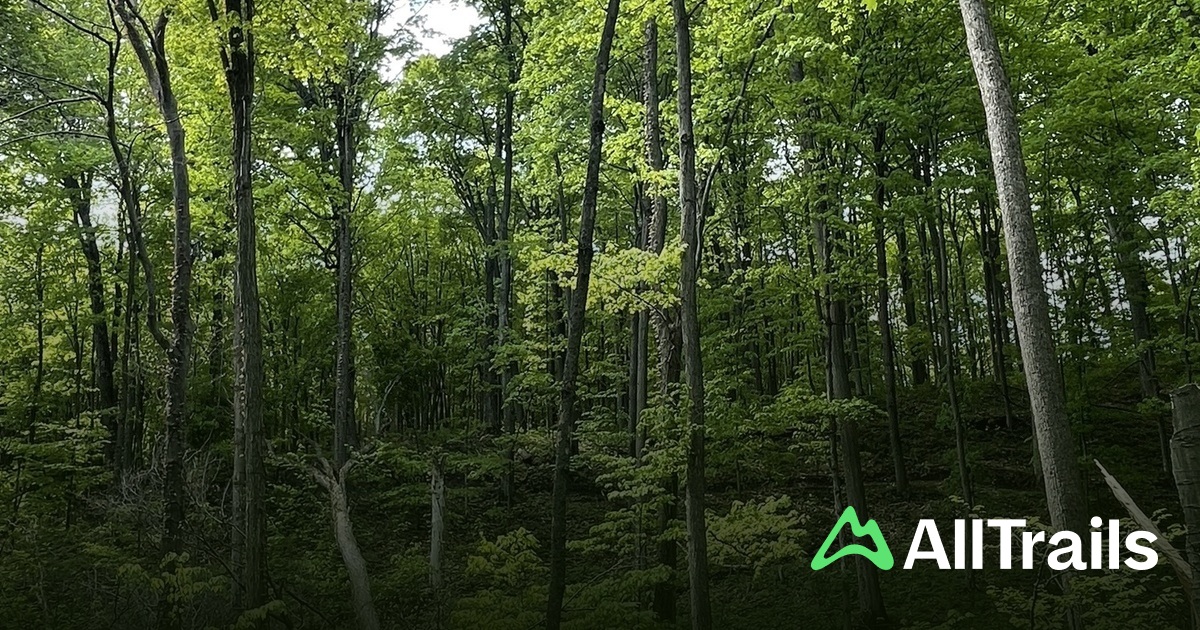 Best kid-friendly trails in Hickory Forest Natural Area | AllTrails