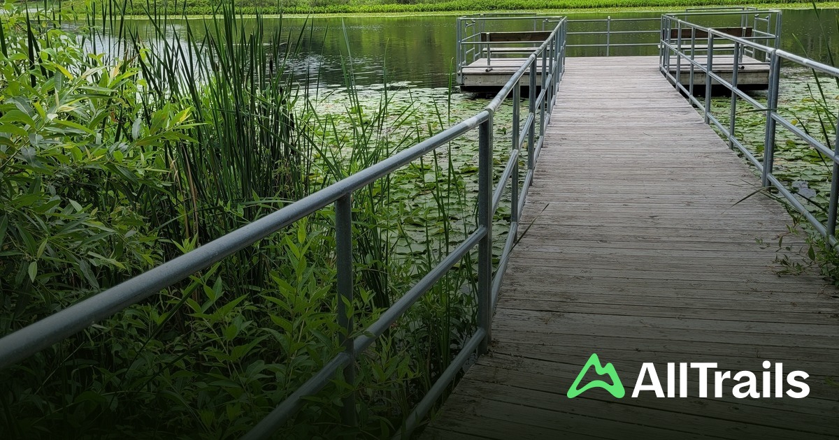 Best hikes and trails in Baroda Township Park | AllTrails