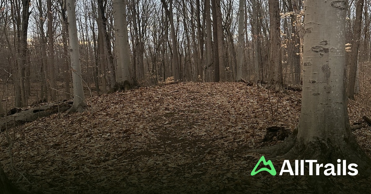 Best hikes and trails in Myron Perlman Nature Preserve | AllTrails