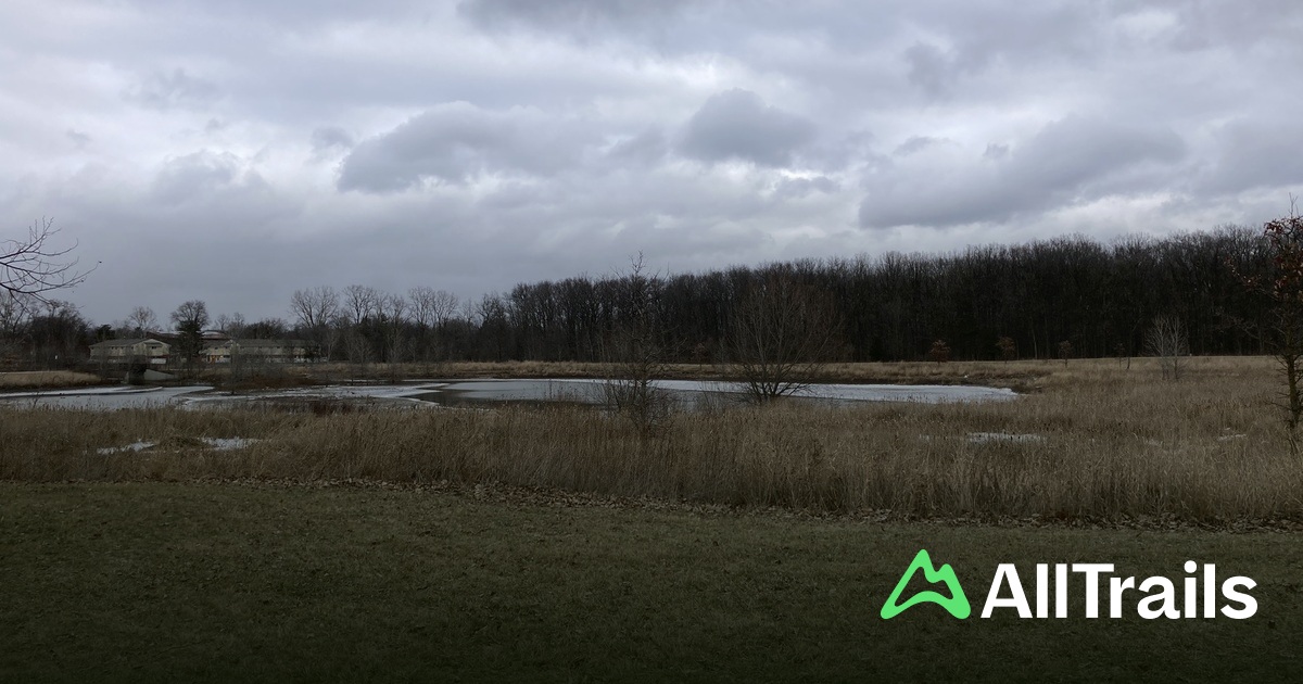Bedste ruter om søer i Mary Beth Doyle Park & Wetland Preserve | AllTrails