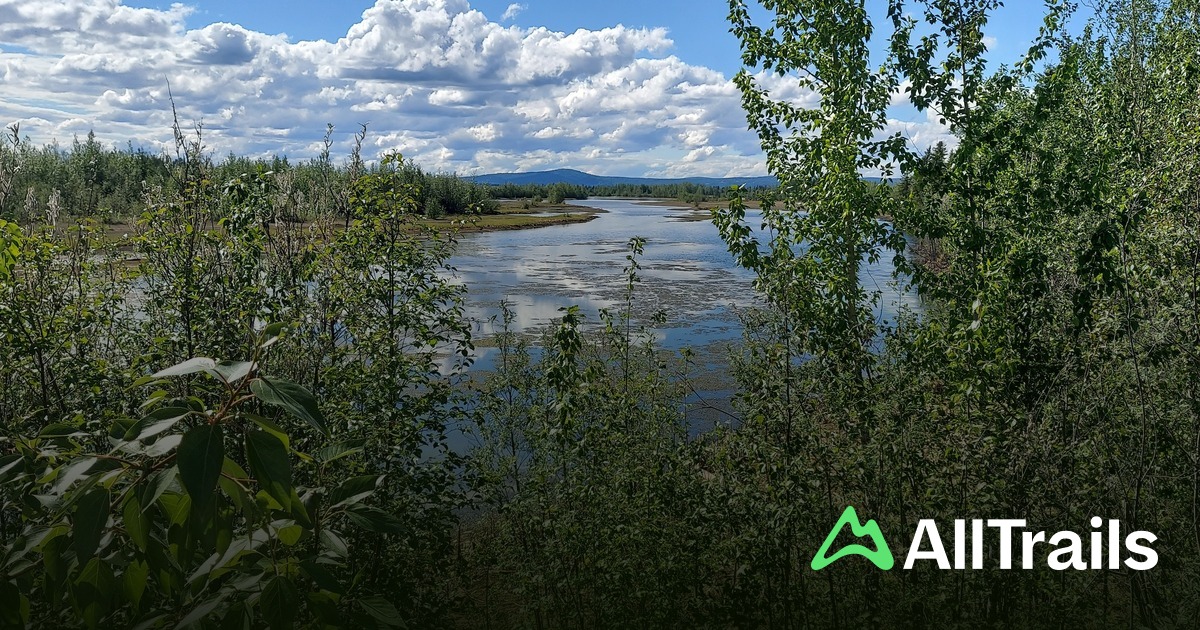 Best hikes and trails in Tanana Lakes Recreation Area | AllTrails