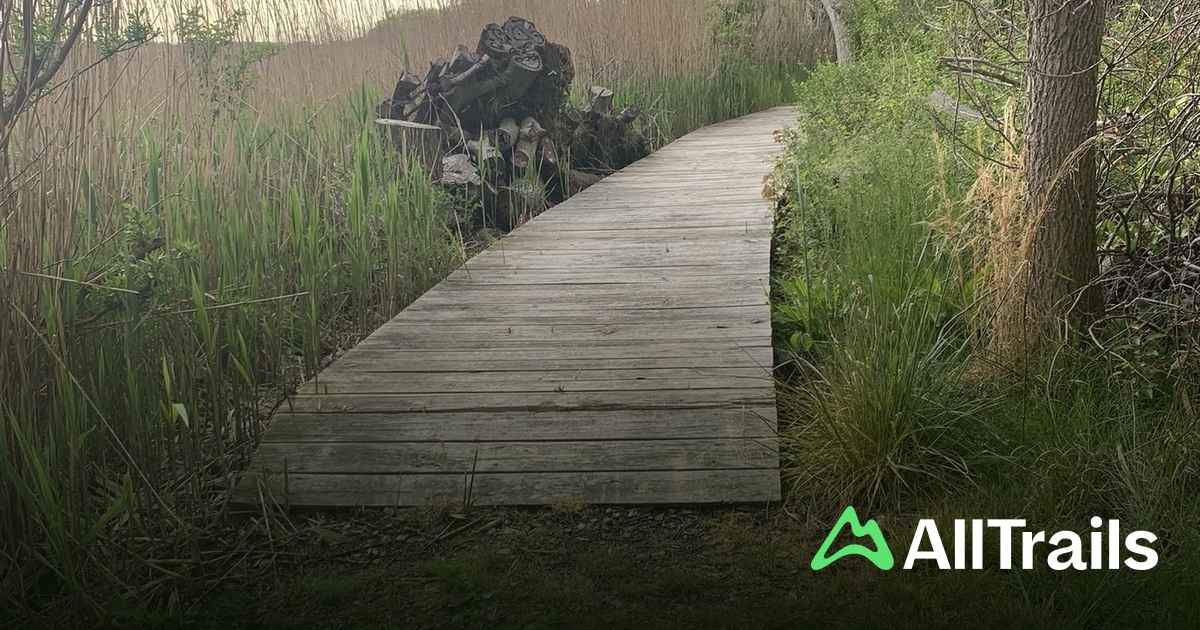 Best hikes and trails in St. Jones Reserve | AllTrails