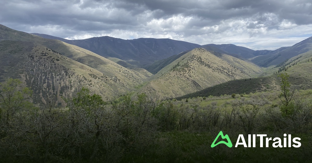 Die Besten Langen Routen in Big Springs Park | AllTrails