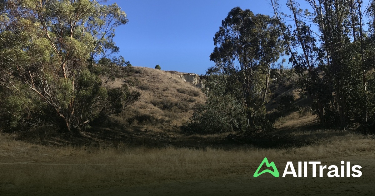 Best forest trails in Toro County Park | AllTrails