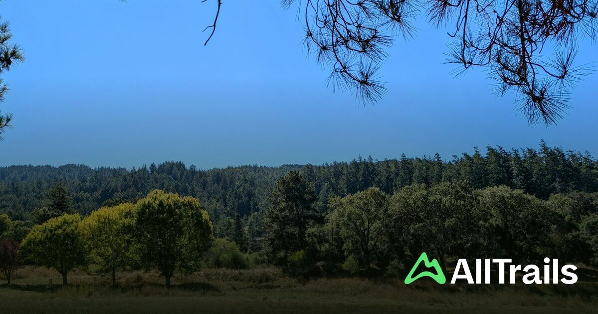 Best hikes and trails in San Geronimo Commons | AllTrails