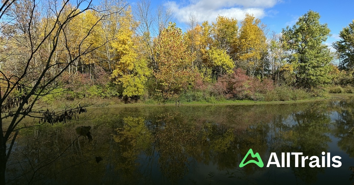 Best hikes and trails in Herb and Dortha Parker’s Hickory Grove Farm ...