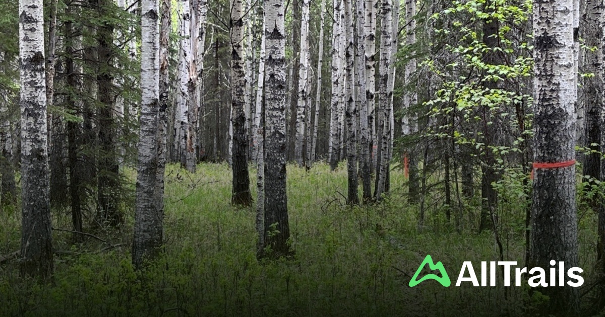 Best hikes and trails in Centre of Alberta Natural Area | AllTrails