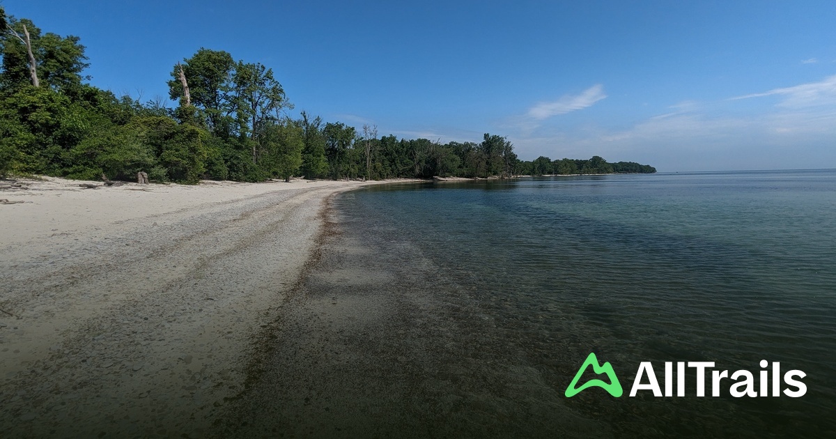Best hikes and trails in Scheele Preserve | AllTrails