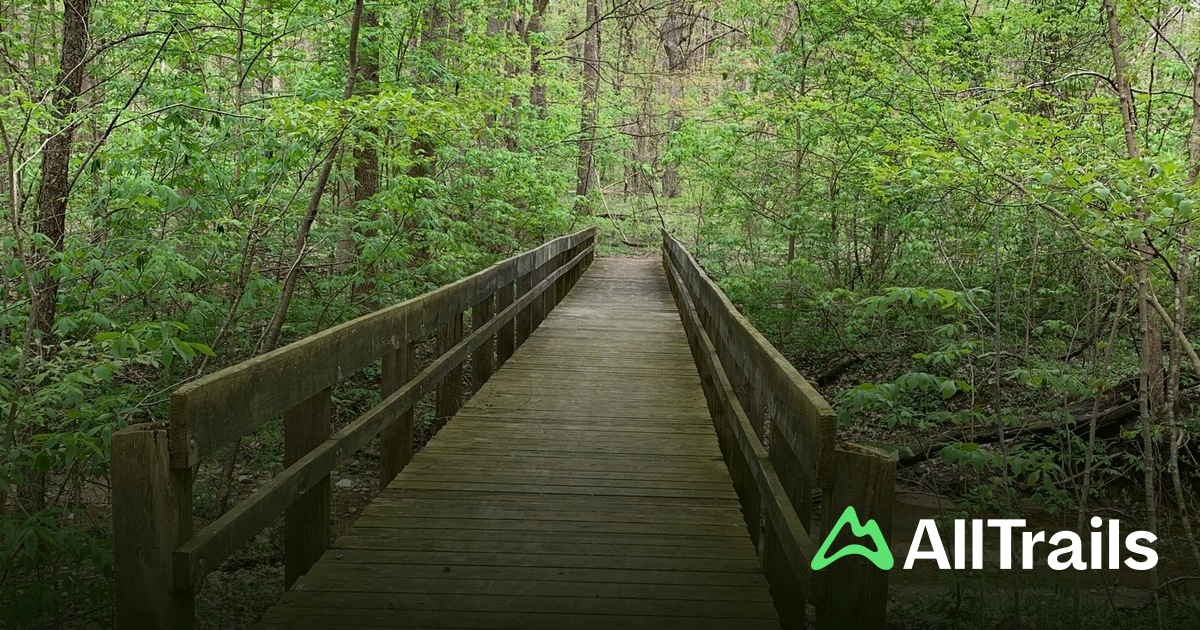 Best hikes and trails in Davey Woods Nature Preserve | AllTrails