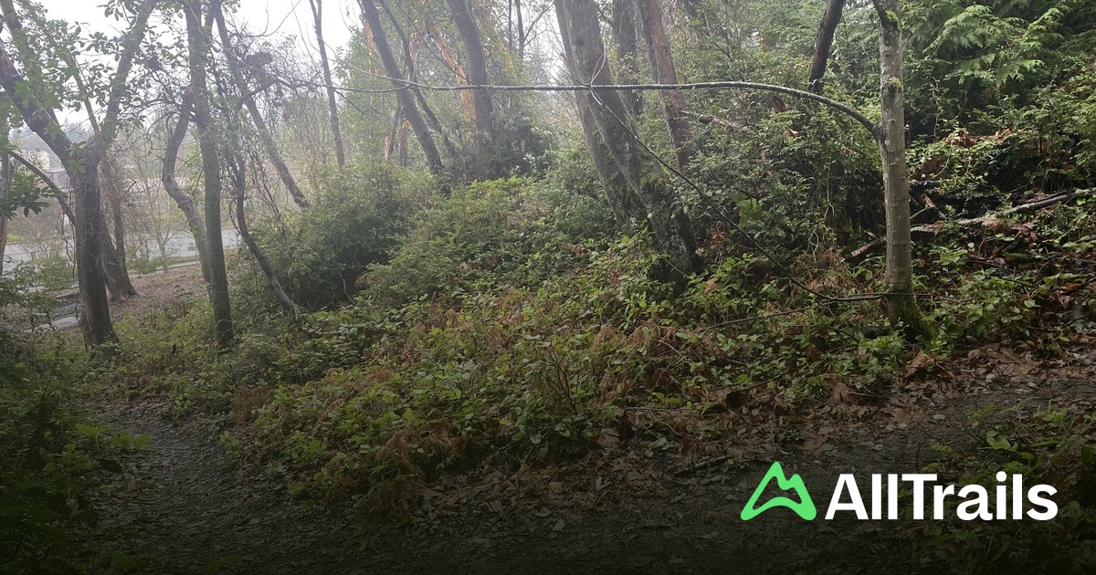 Best hikes and trails in Madrona Trails | AllTrails