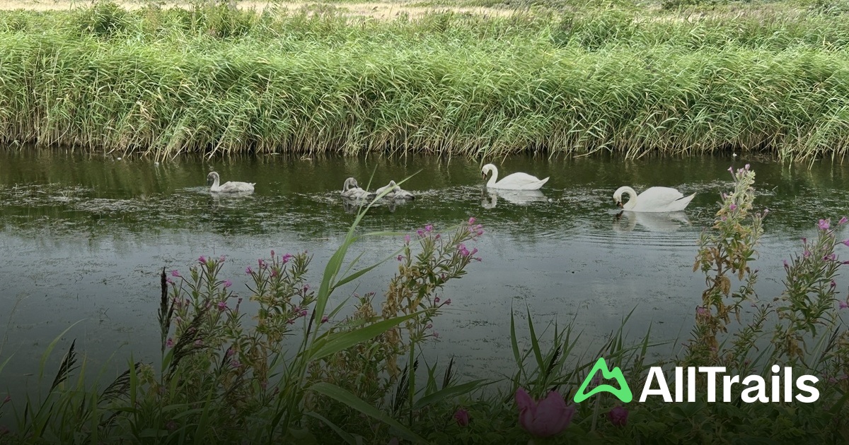 10 Best partiall-paved trails in Geopark Vestjylland | AllTrails