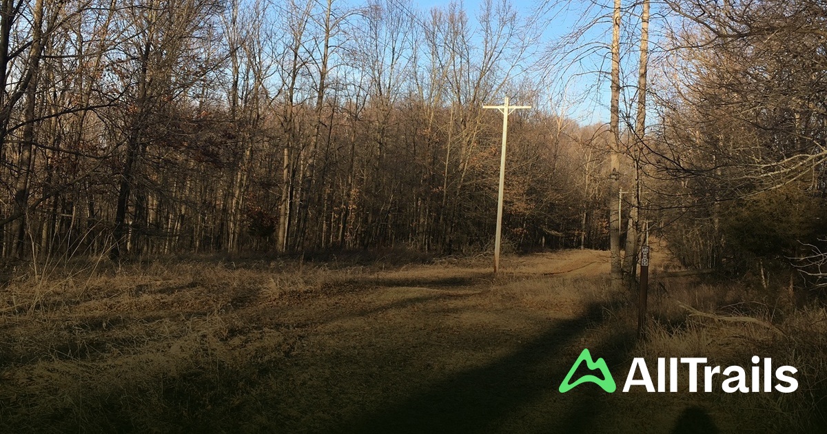 Best hikes and trails in Loon Lake Nature Preserve | AllTrails