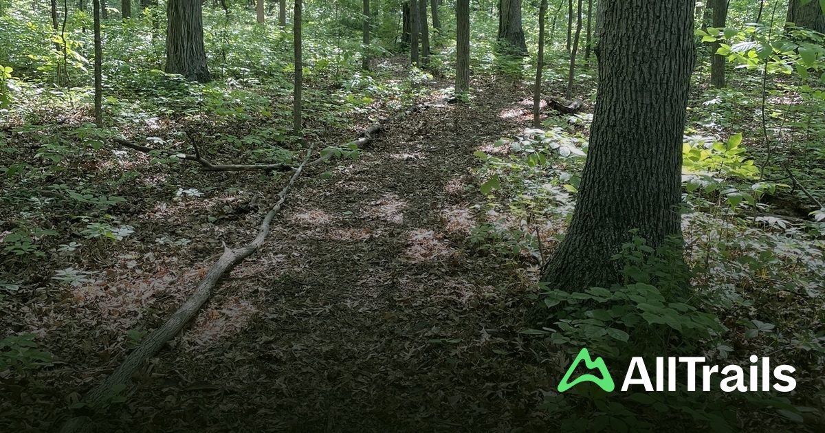 Best hikes and trails in Payton Park | AllTrails