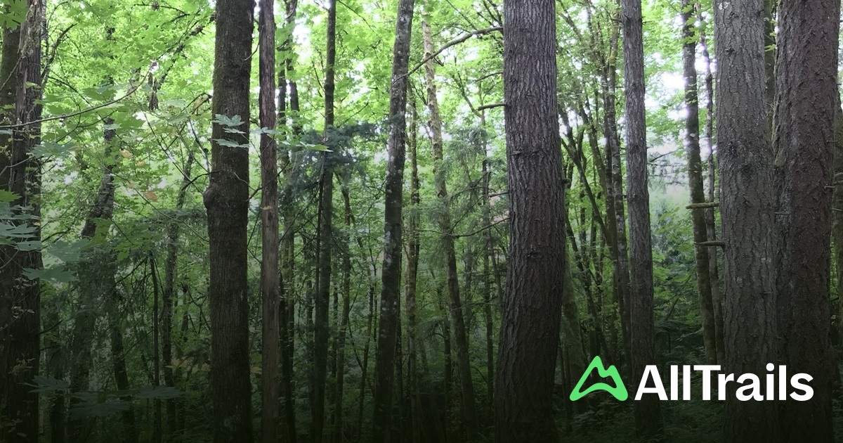 Best short trails in Bull Mountain Park | AllTrails