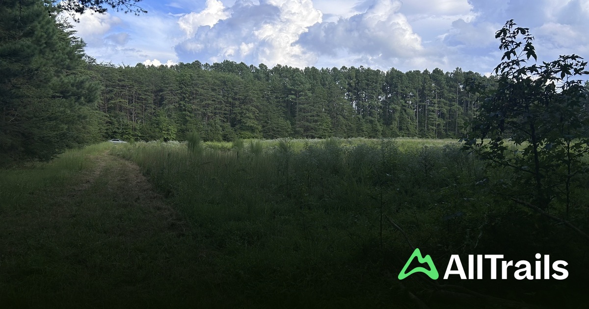 Best hikes and trails in Charlotte State Forest | AllTrails